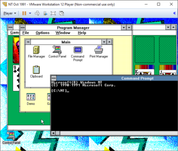 VMware 12.5.9 on Windows 10 build 1903 / version 18362 | Virtually Fun