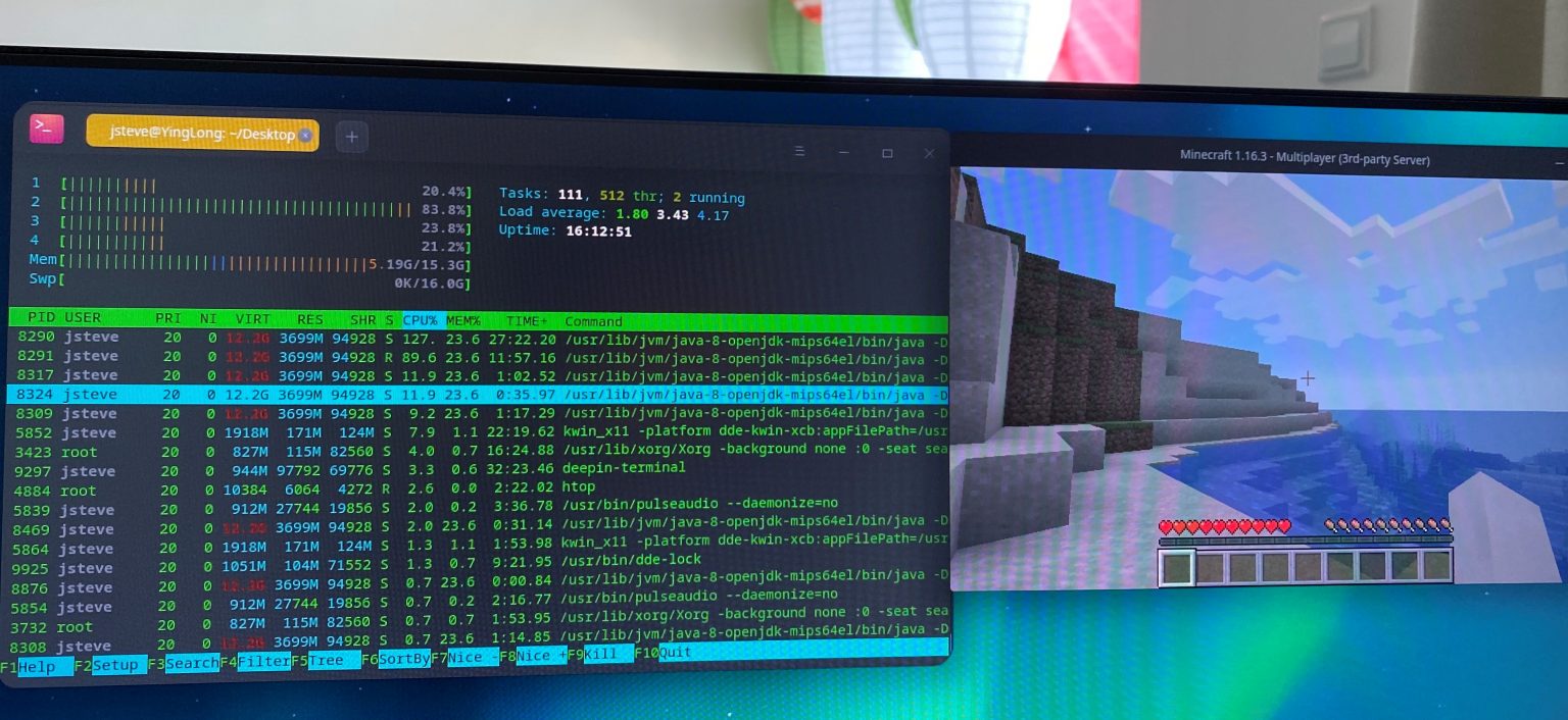Minecraft on the loongson-3A4000 / Lemote A1901 | Virtually Fun