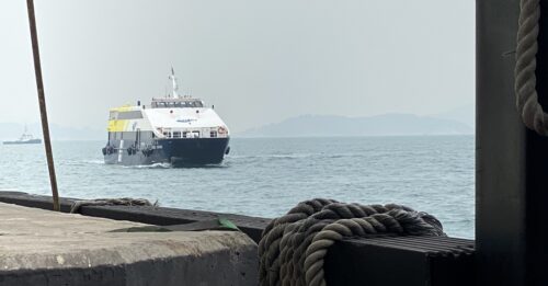 2020 | Virtually Fun