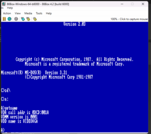 UNAUTHORIZED WINDOWS/386 | Virtually Fun